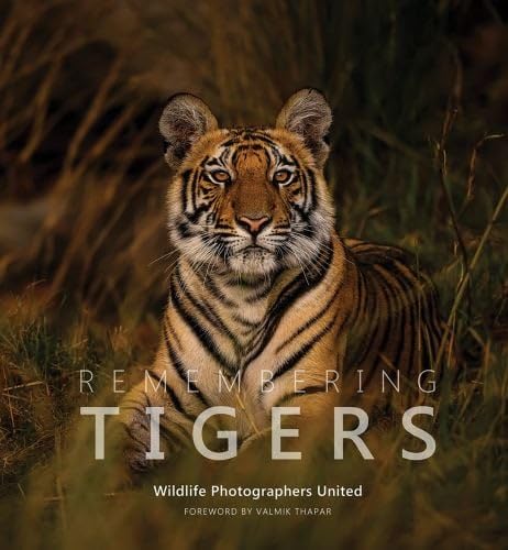 Remembering Tigers (Remembering Wildlife, Band 9) : Raggett, Margot ...