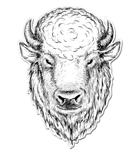 Amazon.com : GT Graphics Express Buffalo - Vinyl Sticker Waterproof ...