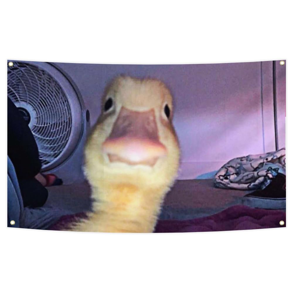 Purple Duck Memes
