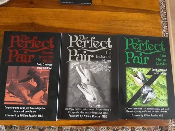 The Perfect Pair: The Enchanted Mirror: Amazon.co.uk: David C. Holroyd ...