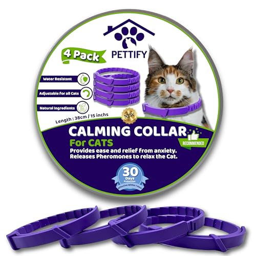 Calming Cat Collar – The 15 best products compared - Wild Explained