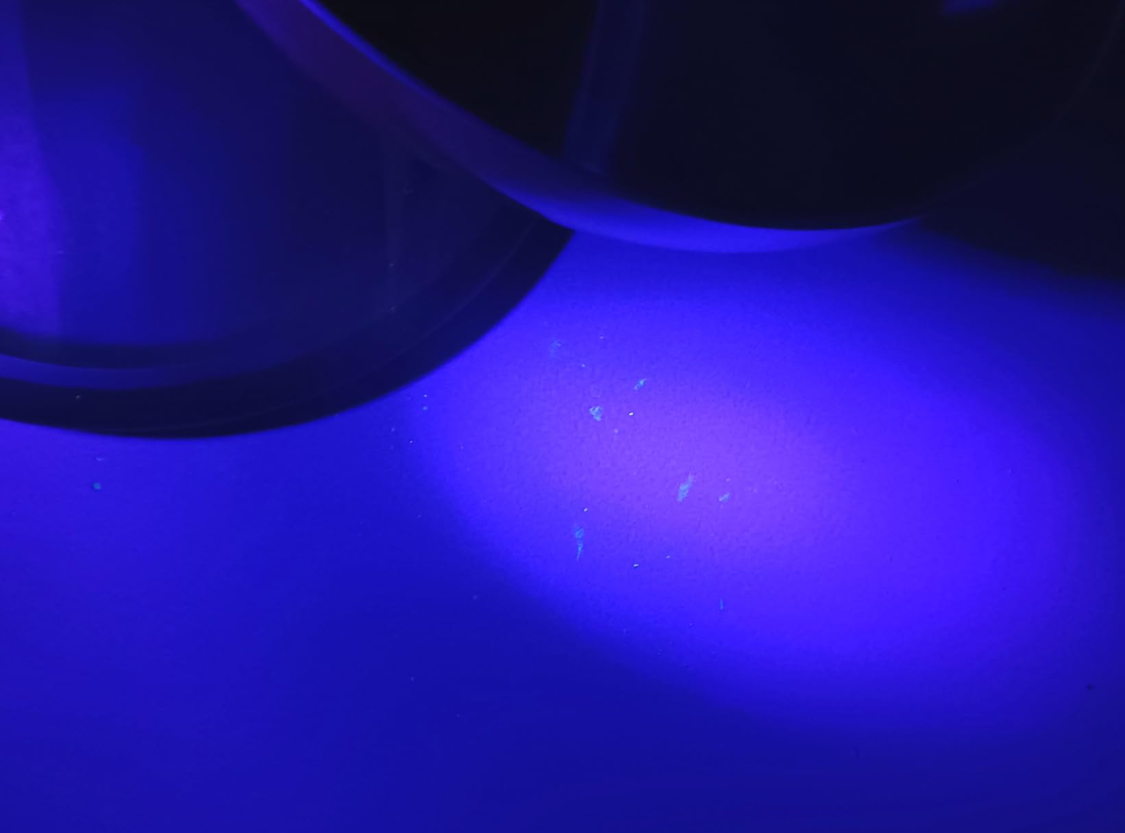 Amazon.co.jp : ブラックライト懐中電灯、Vansky 21 LED UVライト懐中電灯395nm紫外線ブラックライトペット尿検出器犬猫、乾燥汚れとベッドのバグ、ペットの臭気除去剤 ...