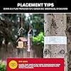 Catchmaster Tree Shield Lantern Fly & Ant Traps Insect Barrier, 4 Rolls ...