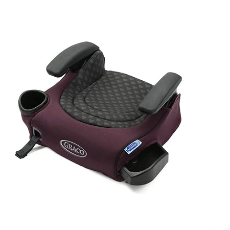 Amazon.com : Chicco GoFit Plus Backless Booster Car Seat with Latch ...
