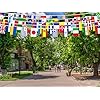 Amazon.com : 200 Countries International String Flag,World Country ...