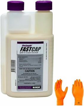 Amazon.com: Onslaught Fast-Cap Spider & Scorpion 16 oz Insecticide ...