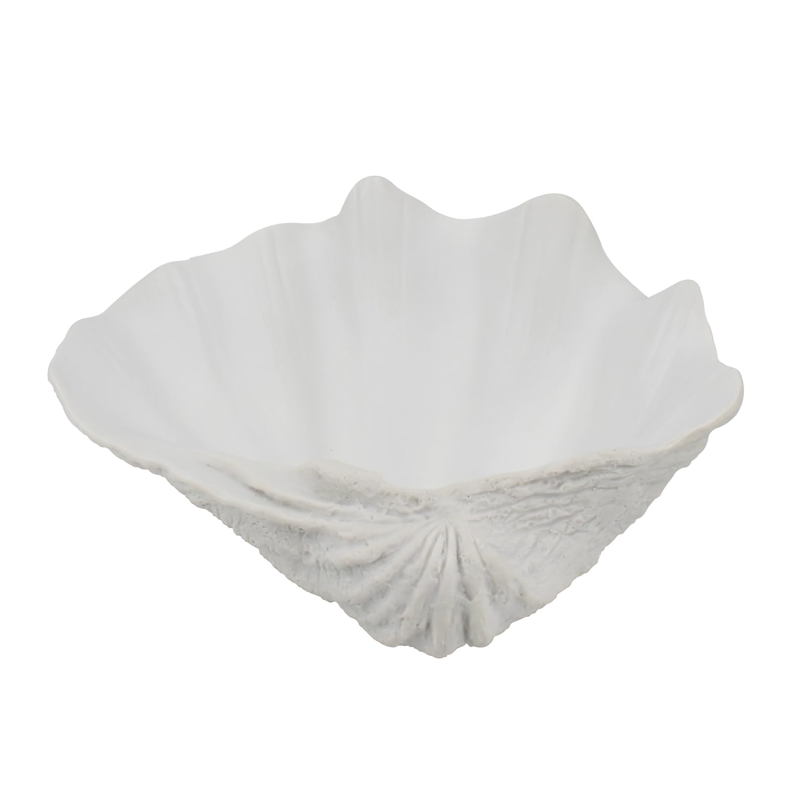 Amazon.com: ALIWINER Small White Seashell Bowl,Scalloped Clam Shell ...