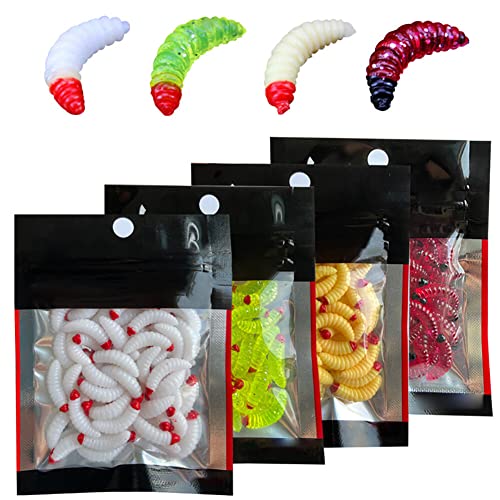 Maggot Baits – The 16 best products compared - Outdoors Magazine