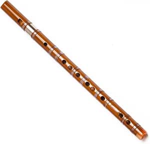 Amazon.com: Beginner's 6-hole recorder instrument F entry-level flute ...