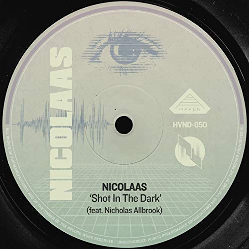 Play Shot in the Dark (feat. Nicholas Allbrook) by Nicolaas feat ...