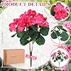 Amazon.com: Maysing 12 Pcs 10.2 Inch Artificial Geranium Flowers Silk ...