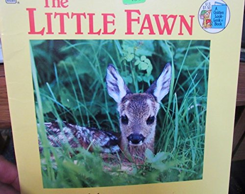 Little Fawn (Look-Look): Golden Books: 9780307118943: Amazon.com: Books