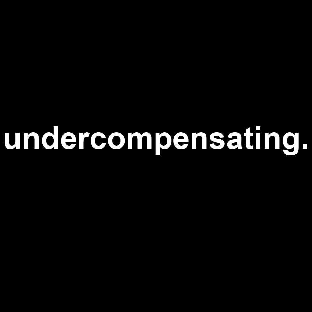 Amazon.com - Funny Under Compensating Vinyl Sticker Car Decal (6" White)