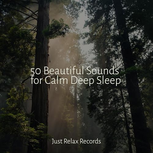 Spiele 50 Beautiful Sounds for Calm Deep Sleep von Lounge relax, Música ...