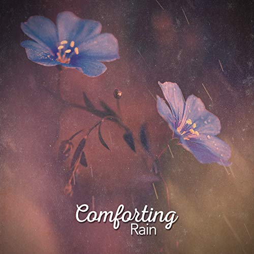 Amazon.com: Comforting Rain : Rainfall: Digital Music