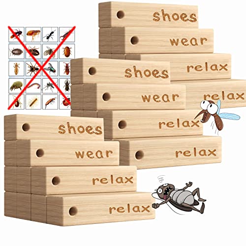 Amazon.ca Hot New Releases: The bestselling new & future releases in ...