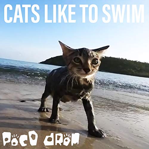 Amazon Music - Poco DromのCats Like to Swim - Amazon.co.jp