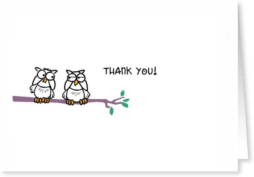 Amazon.com: Stonehouse Collection Owls Thank You Note Cards - Blank ...