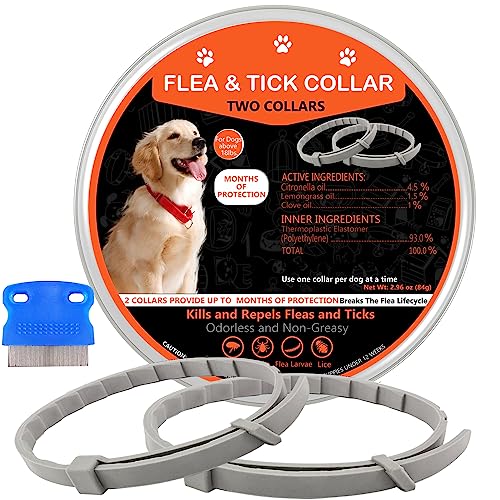 Top 10 Tick Collars For Dogs of 2022 - Katynel