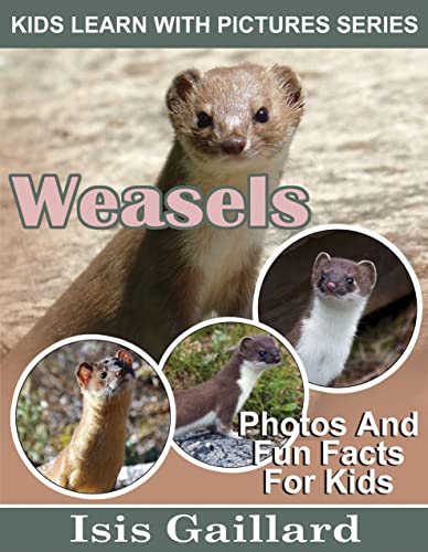 Weasels: Photos and Fun Facts for Kids (Kids Learn With Pictures Book ...
