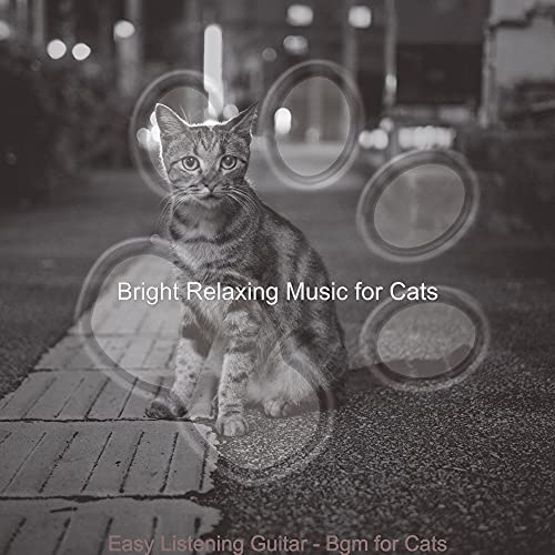 Easy Listening Guitar - Bgm for Cats de Bright Relaxing Music for Cats ...