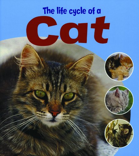 The Life Cycle of a Cat (Learning About Life Cycles): Thomson, Ruth ...