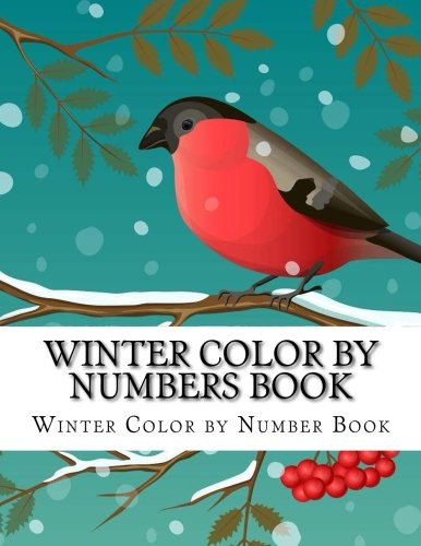 Amazon.com: Winter Color By Numbers Book: Winter Scenes, Birds, Clothes ...