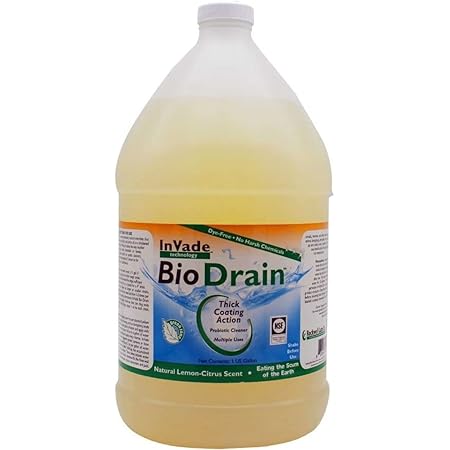Amazon.com: Rockwell Labs IBDC032 Invade Bio Drain Gel-1 Qt : Health & Household