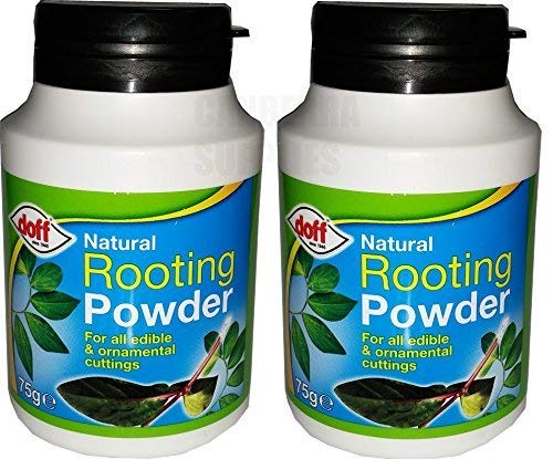 2 X Doff 75g Natural Hormone Rooting Powder : Amazon.co.uk: Garden