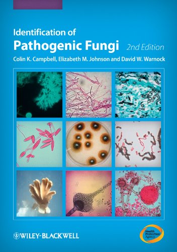 Amazon.com: Identification of Pathogenic Fungi eBook : Campbell, Colin ...