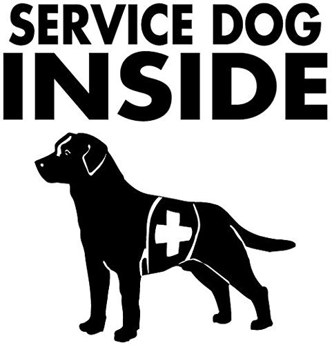 Amazon.com: BD USA Service Dog Inside Decal, Decal Sticker Vinyl Car ...