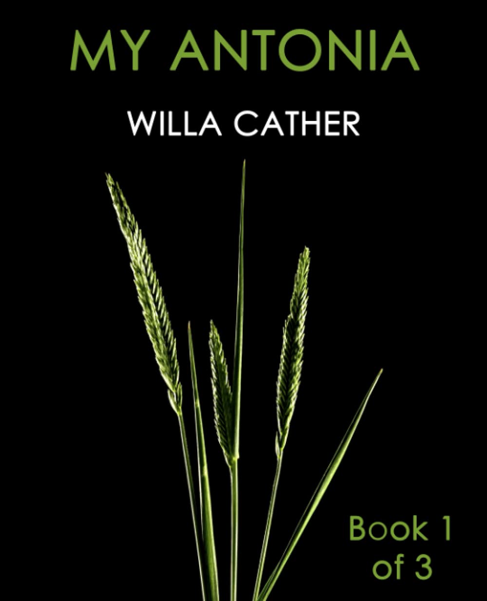 My Antonia (Book 1 of 3): Giant Print Books For Low Vision Readers ...