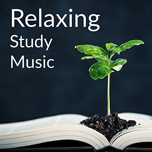 Relaxing Study Music by Relaxation Study Music, Calm Music for Studying ...