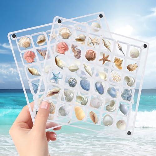 Amazon.com: Acrylic Magnetic Seashell Display Box - 36 Grids ...