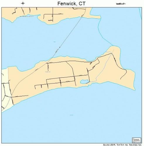 Amazon.com: Large Street & Road Map of Fenwick, Connecticut CT ...