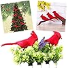 Amazon.com: 12 PCS Red Cardinals Ornaments Birds Christmas Cardinal ...