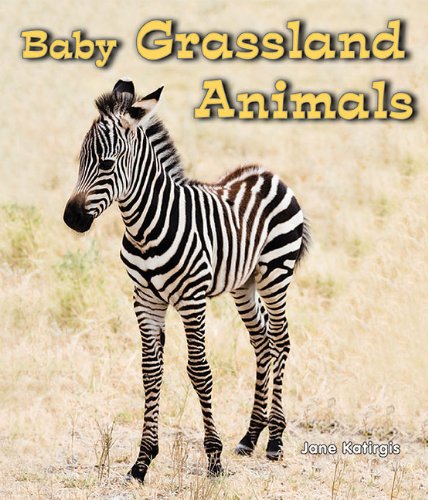 Baby Grassland Animals (All About Baby Animals): Katirgis, Jane ...