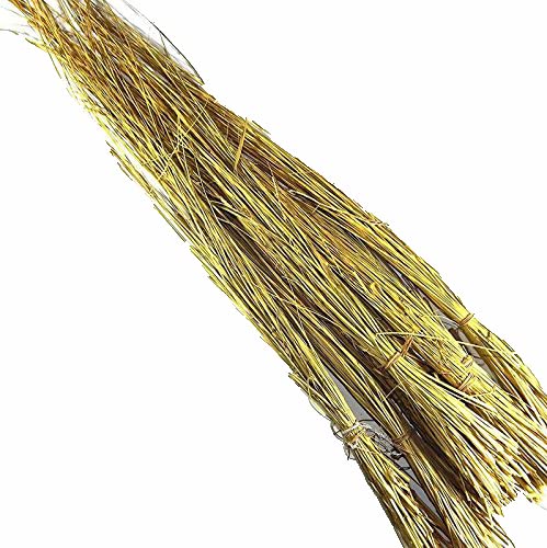 Dharbha Kusha Grass for Pooja Karma (Pack of 2 Bundle Long Size Dry ...