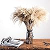 HZL Natural 100/50Pcs Dried Reed Bundle Bouquet Flower, Dried Flower ...