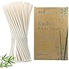 Amazon.com: EcoCycle Biodegradable Disposable Bamboo Fiber Straws ...