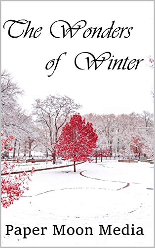 The Wonders of Winter: Beautiful Winter Forests, Landscapes,Cities ...