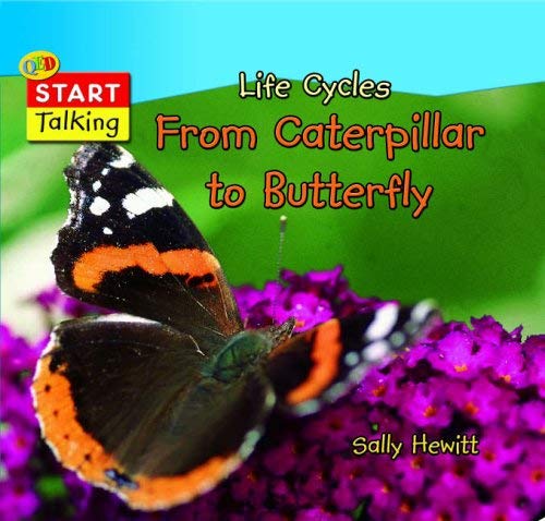 Life Cycles: From Caterpillar to Butterfly: Amazon.co.uk: Hewitt, Sally ...