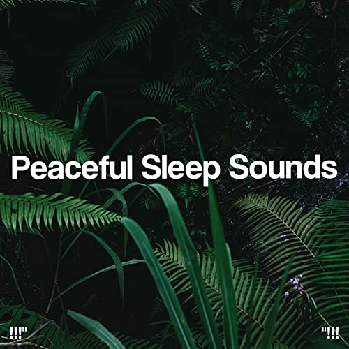 Play !!!" Peaceful Sleep Sounds "!!! by Sleep Sounds of Nature & Yoga ...