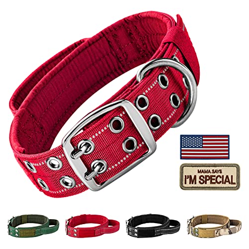 10 Best Material Dog Collars: A Comprehensive Buying Guide! - Furry Folly