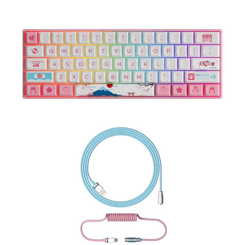 Buy Akko World Tour Tokyo 3061S 60% Pink Wired Mechanical Gaming ...