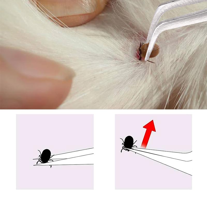 Stainless Steel Tick Tweezers 2 in 1 Tick Tweezers Easy Tick Removal ...