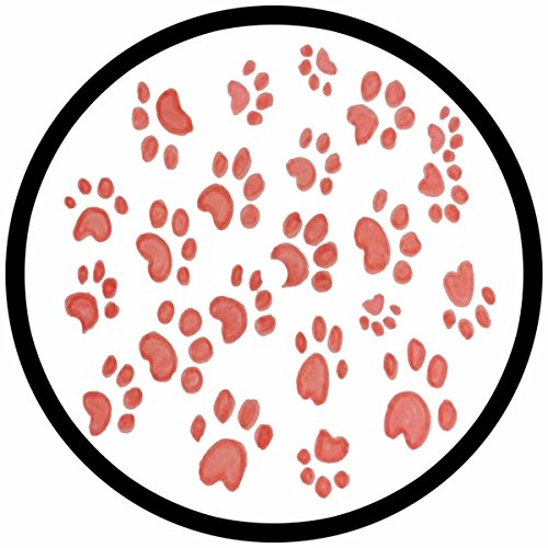 The Groovy Cat by PAWSA on Amazon Music - Amazon.co.uk