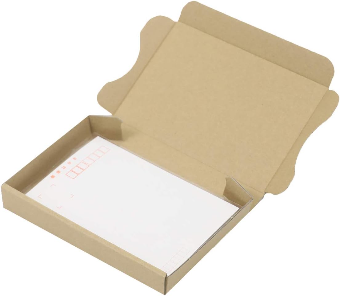 Amazon.co.jp: アースダンボール 小型ダンボール箱 封筒専用 10枚セット 白 小型 段ボール 定形外 箱 名刺サイズ ...