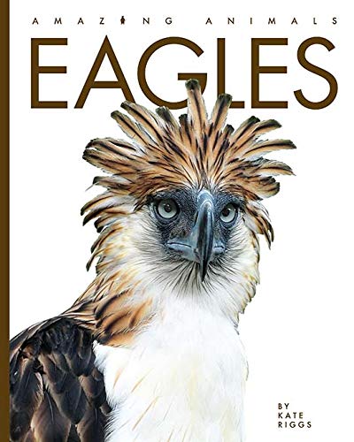Eagles (Amazing Animals): Riggs, Kate: 9781628329124: Amazon.com: Books