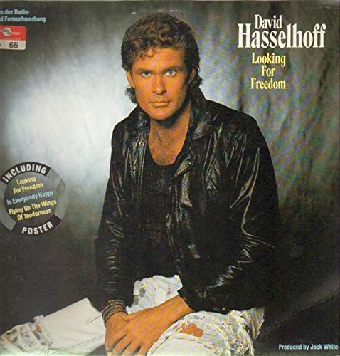 Looking for freedom : David Hasselhoff: Amazon.es: CD y vinilos}